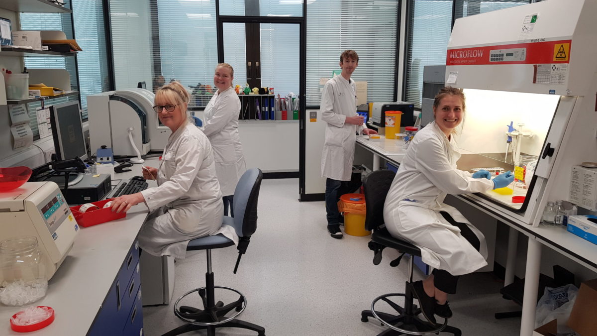 Ninewells virology lab team leads the way in testing