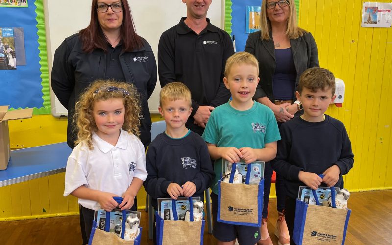 Resident Alyth ospreys given new names thanks to local school pupils